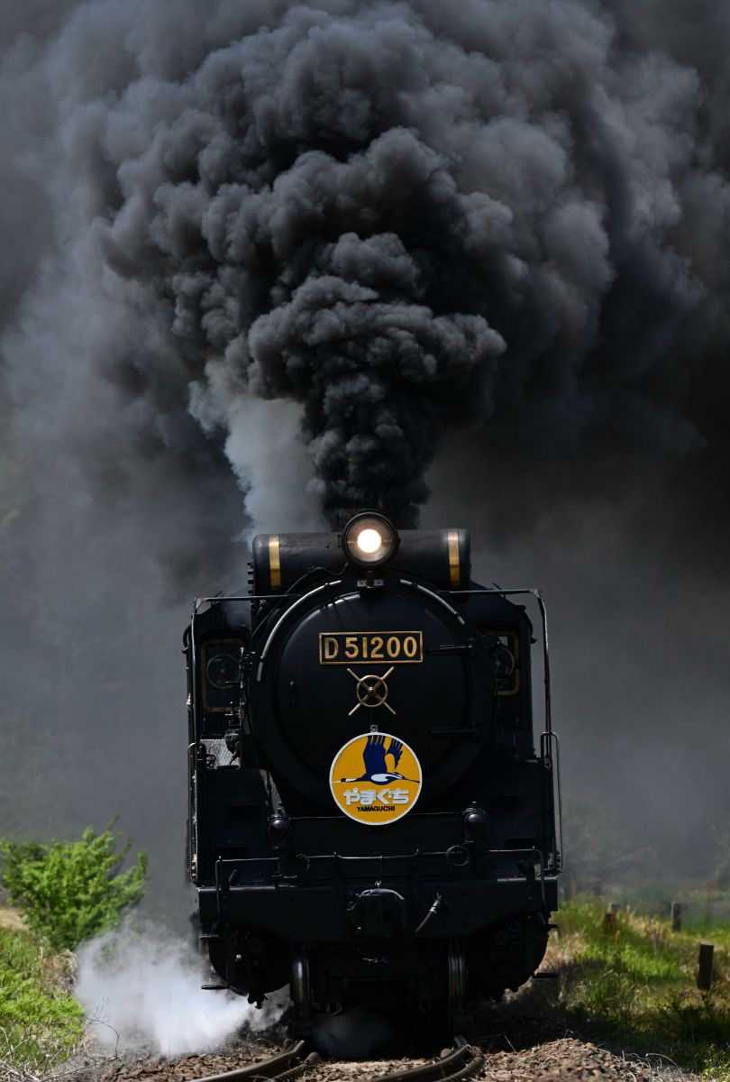 SLやまぐち号 2025 | GANREF