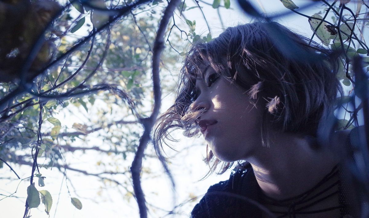 枯れ木の心実 | GANREF