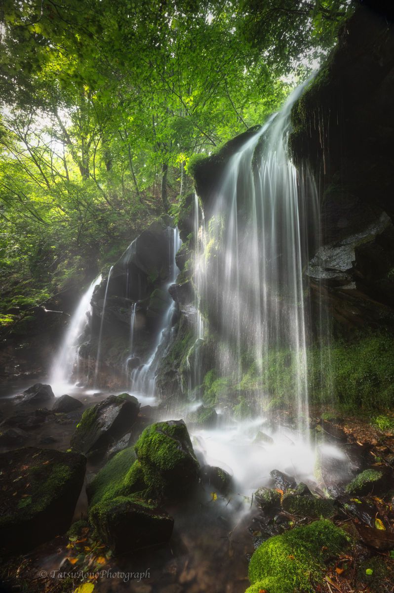 Moment of light | GANREF