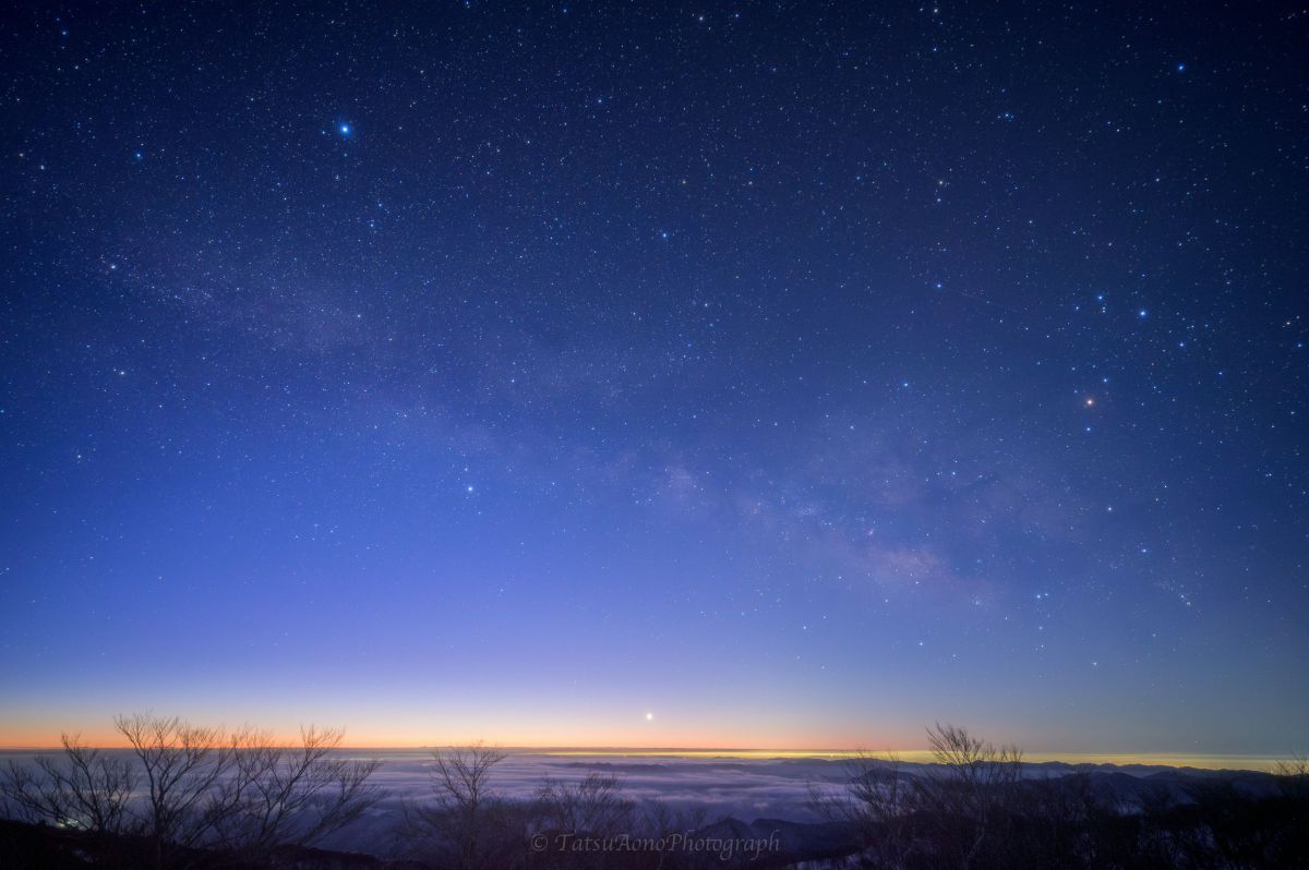 Melty Light | GANREF