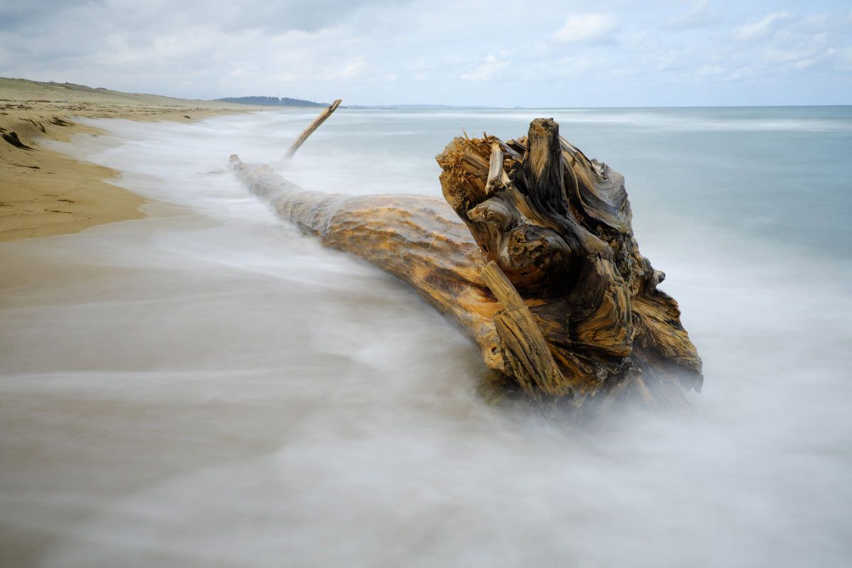 Still Life-011 | GANREF