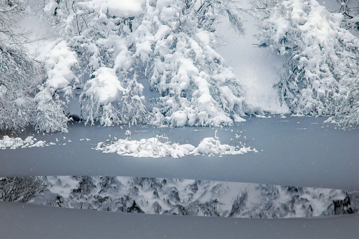 Still Life-008 | GANREF