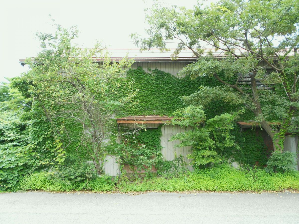 Green House | GANREF