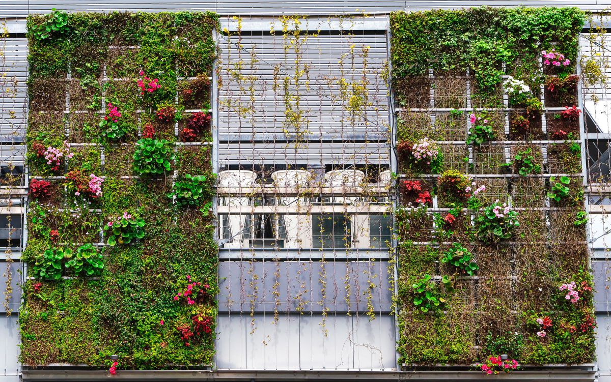 Accent Waii（アクセントの壁） | GANREF