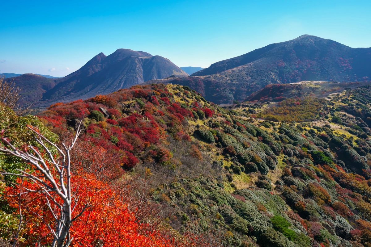 autumn temptation（秋の誘惑） | GANREF