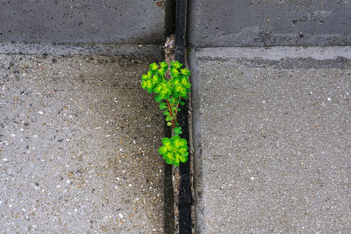 In the gap （隙間で）.jpg | GANREF