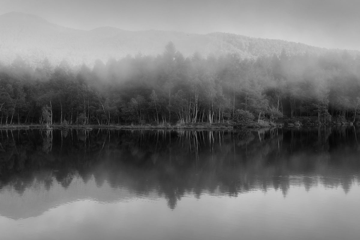 Floating （漂う） | GANREF