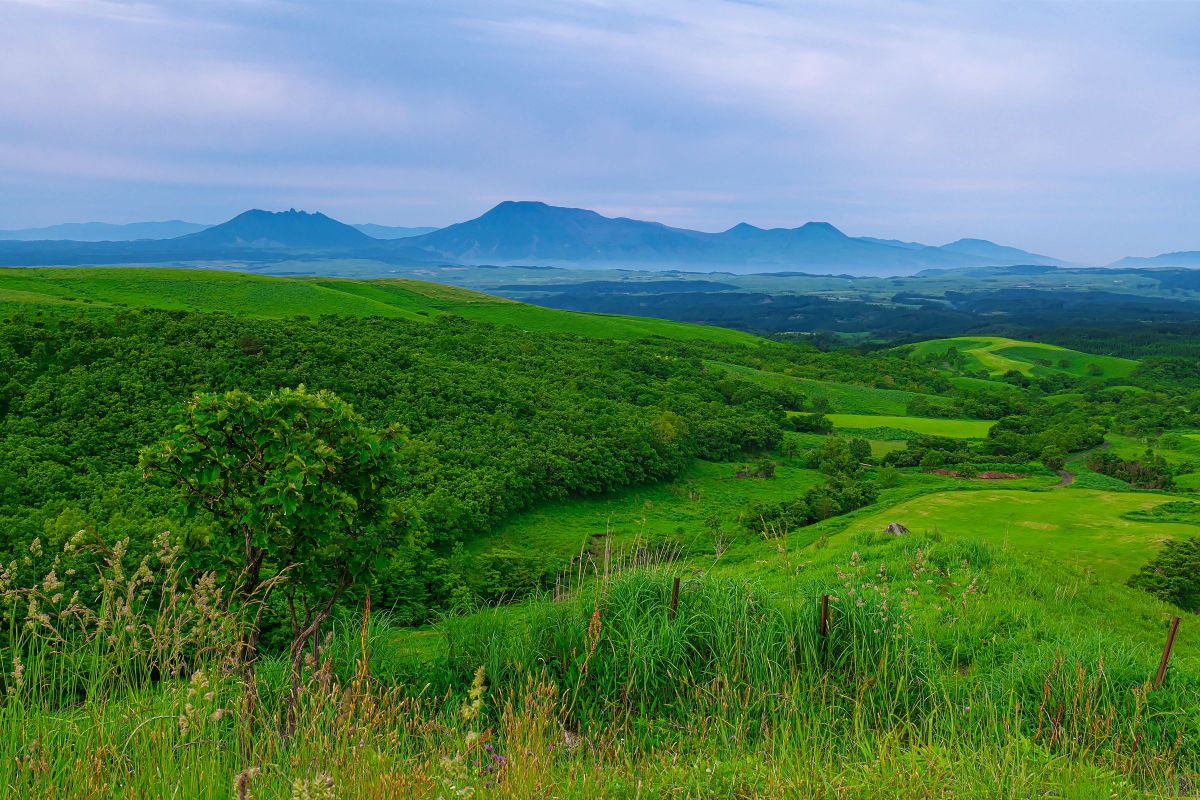 morning view（朝の眺め） | GANREF
