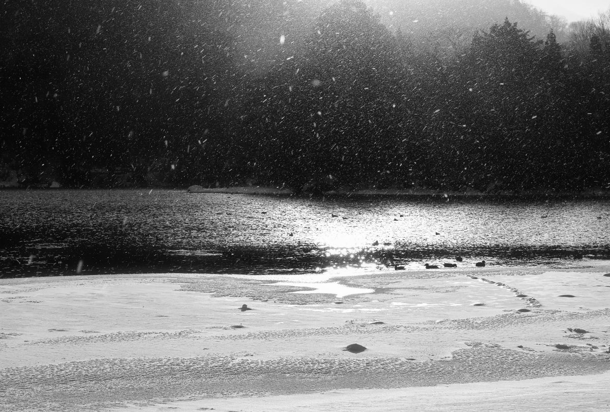 wait for the time（時を待つ ） | GANREF