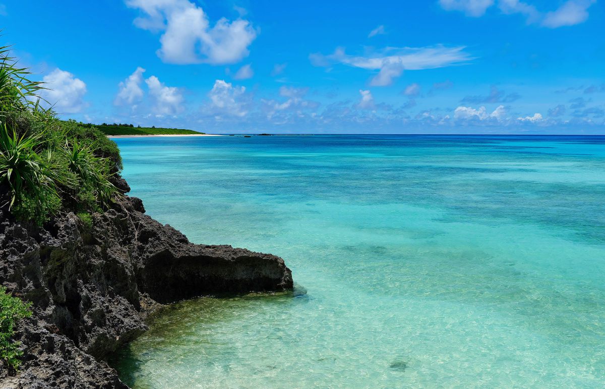 Enchanted Sea（魅惑の海） | GANREF