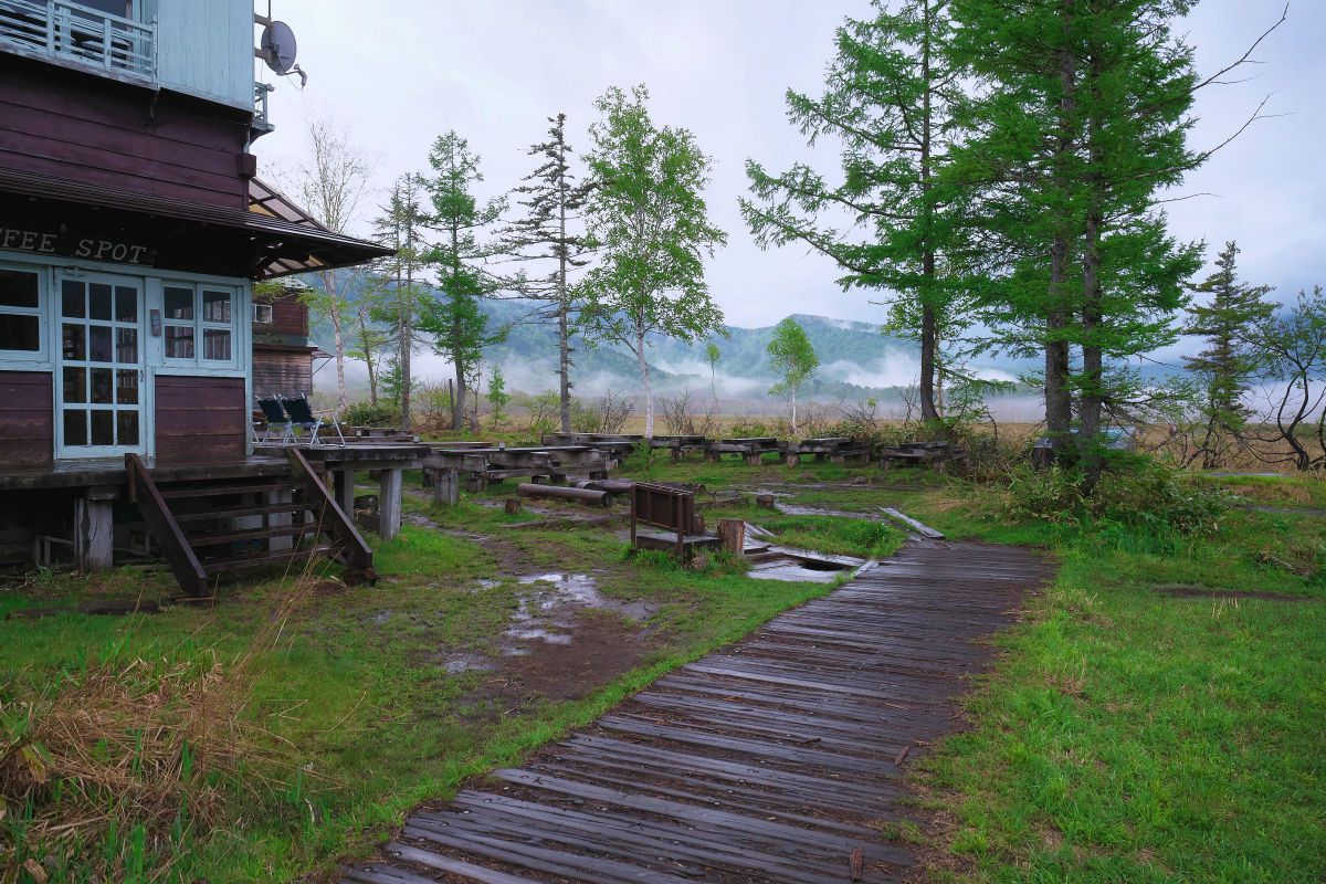 after the rain（雨上がり） | GANREF