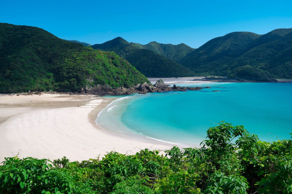 Blue（ブルー） | GANREF