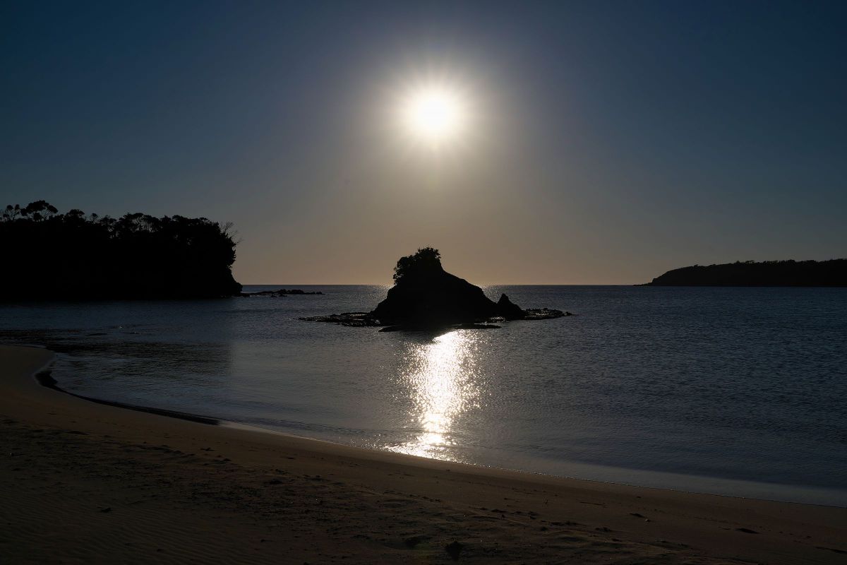 Scorching Sun（焦がす陽） | GANREF