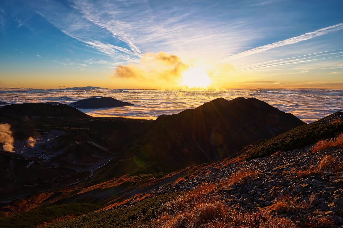 Sink (沈む） | GANREF