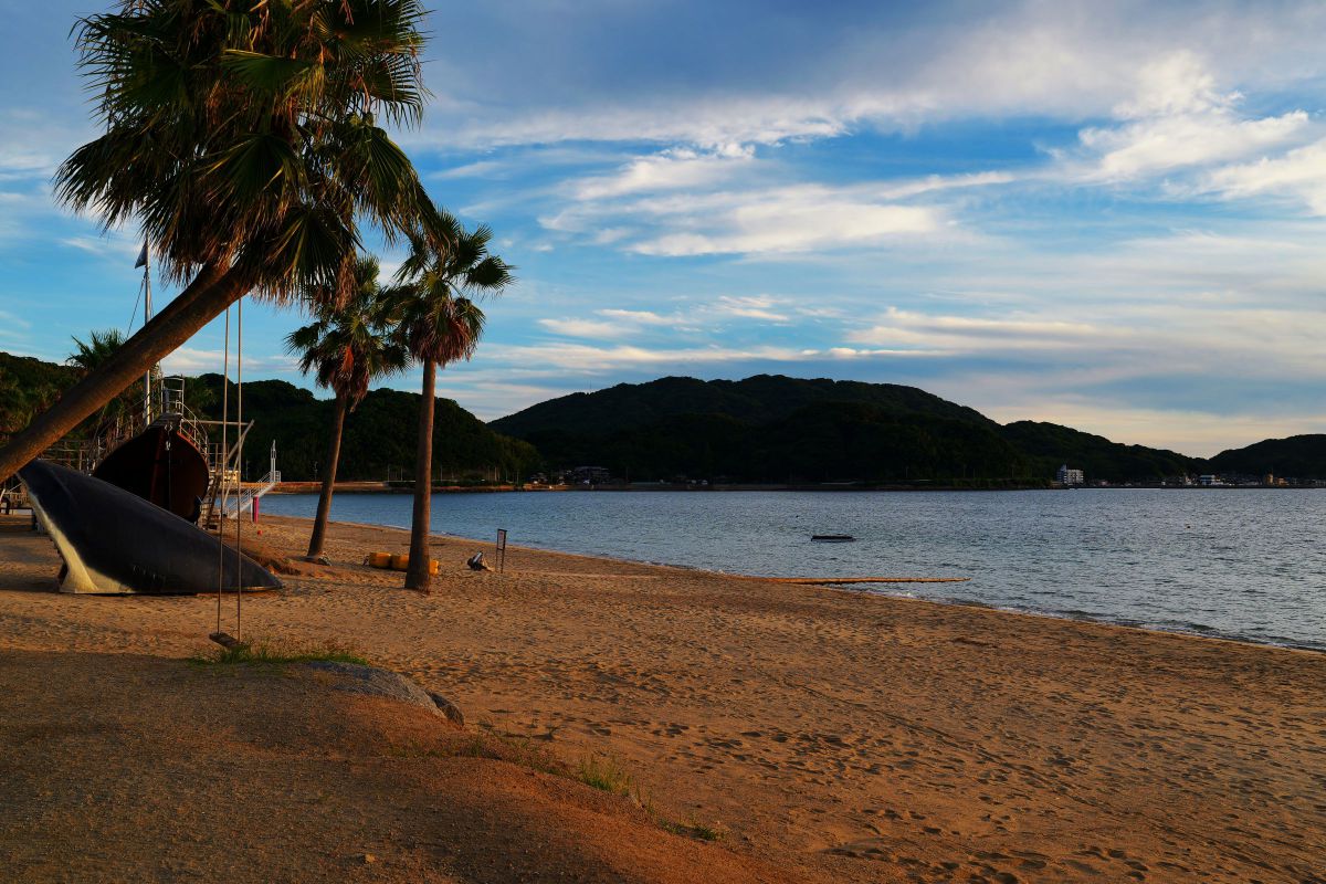 Scorching Morning Sun（焦がす朝陽） | GANREF