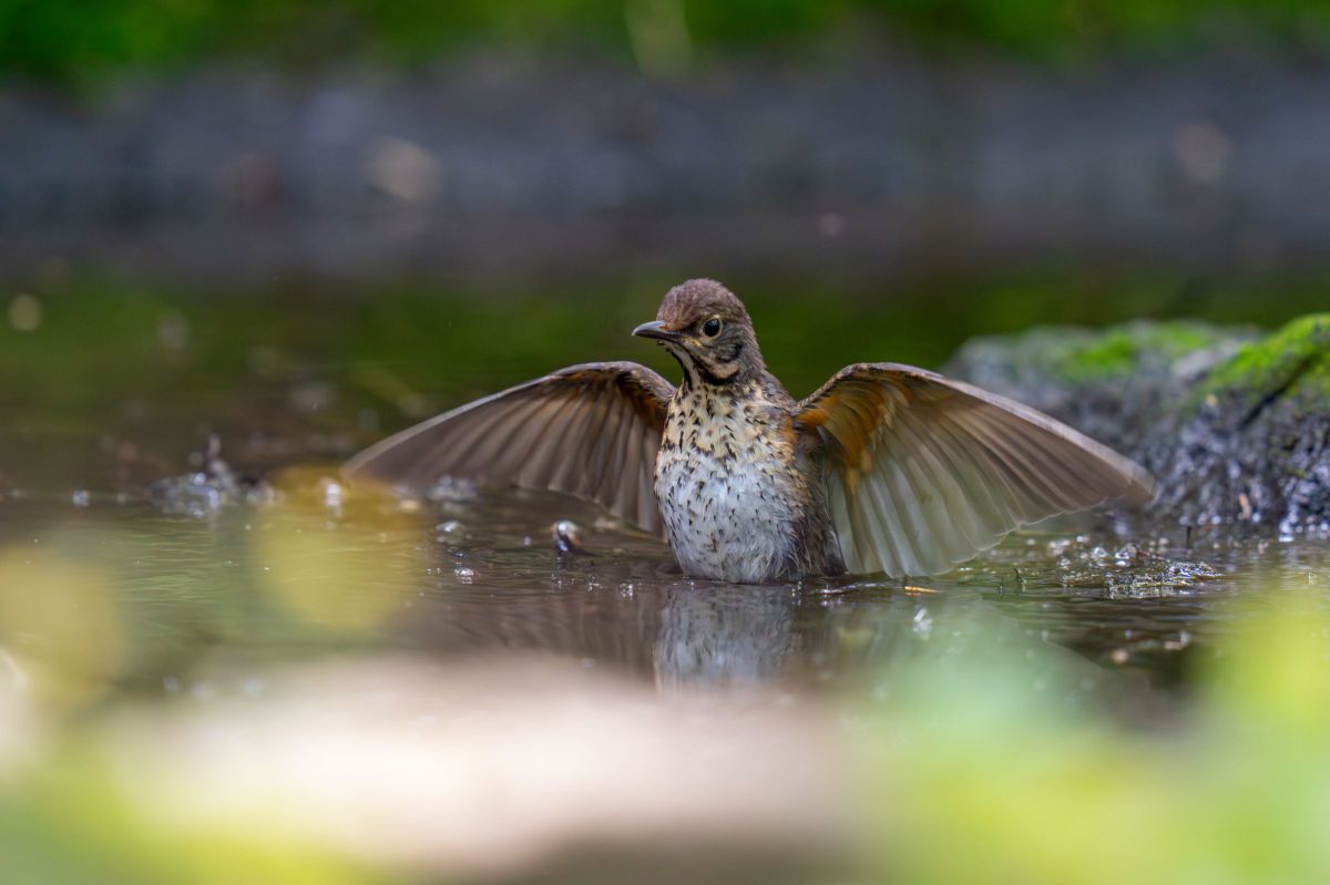 Wind is blowing from the Aegean～ | GANREF