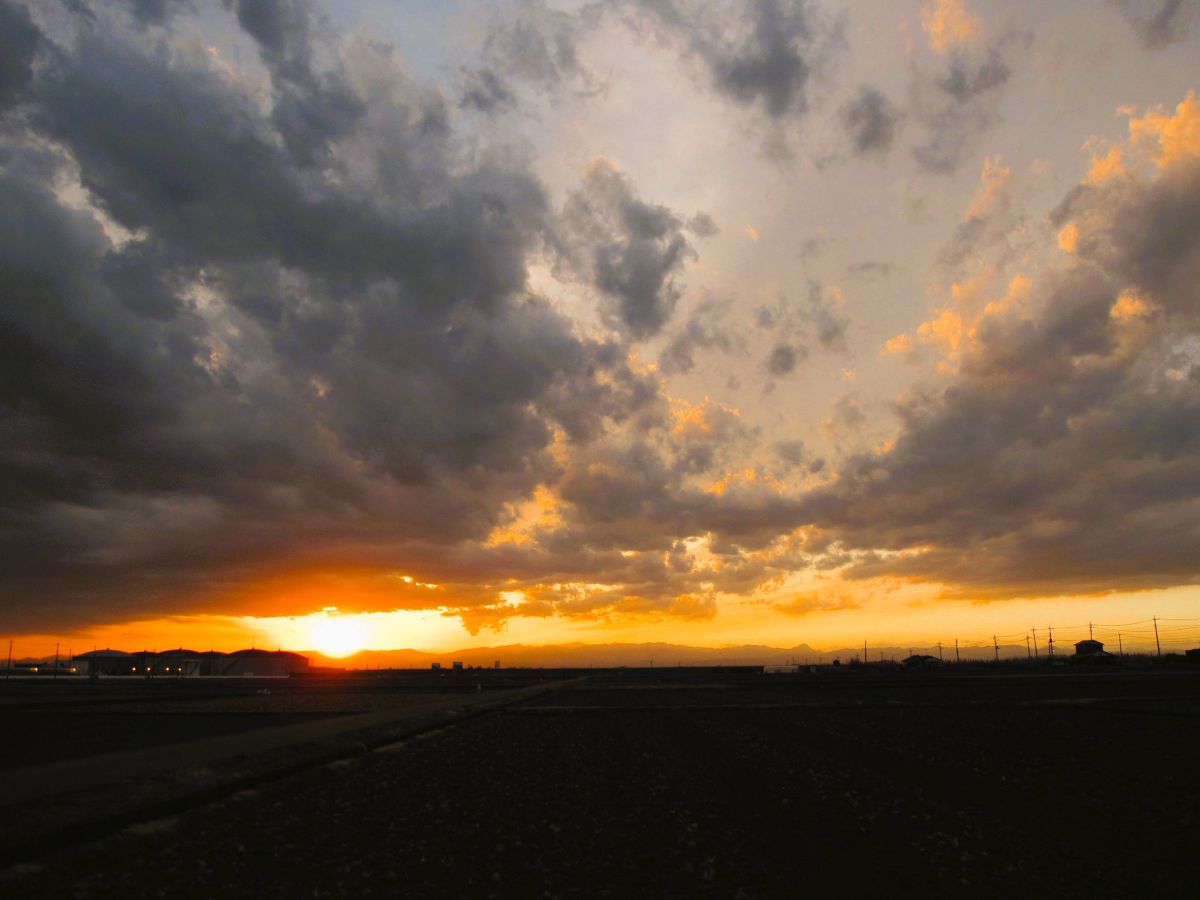 always in a free mind | GANREF