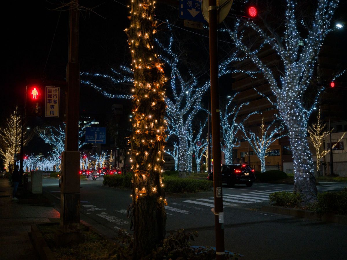 けやき通りの夜 | GANREF