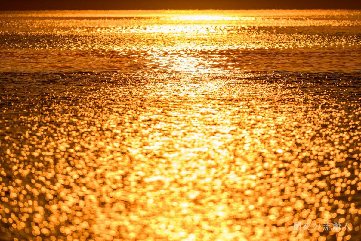 「ニコンZ5II & Z6III」vol.12 最後に総評ぽく | GANREF