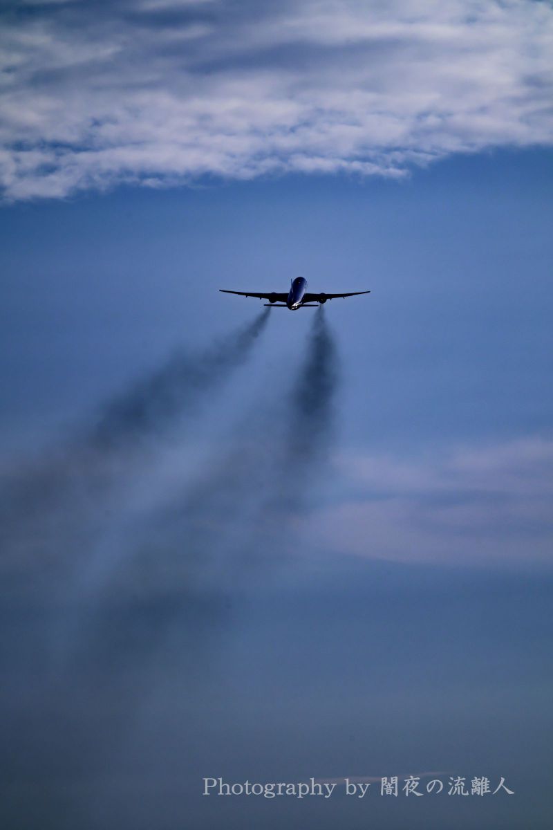 注目製品レビュー ニコン Z8＆超望遠レンズ【飛行機編】 vol.18 まとめられないまとめ | GANREF