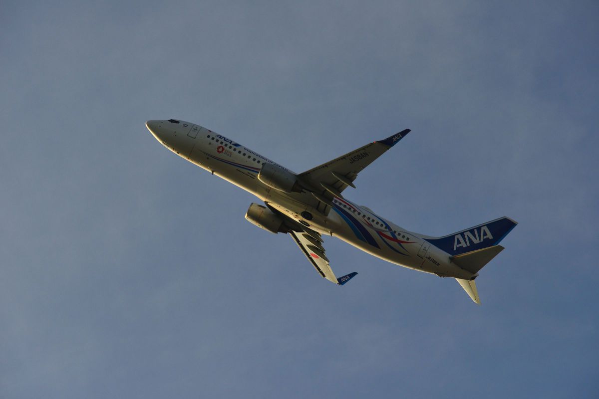 Flap the Wings | GANREF