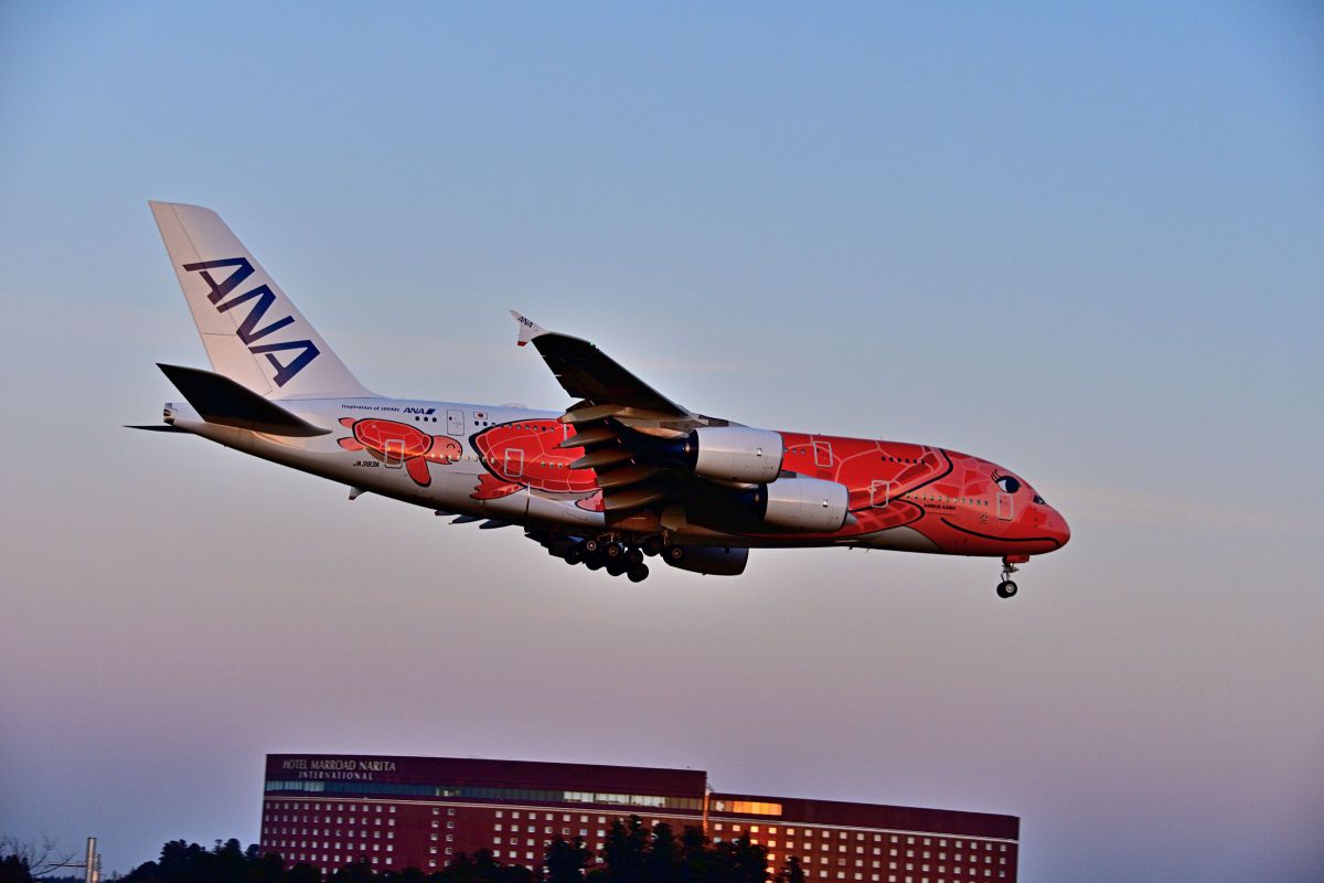 Full of Vigor | GANREF