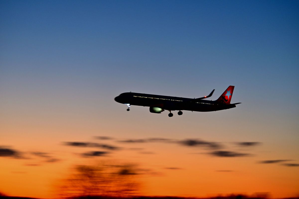 Orange Liner | GANREF