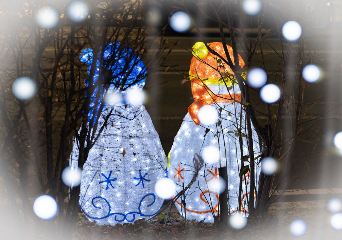 Big Tree Pageant Festival | GANREF