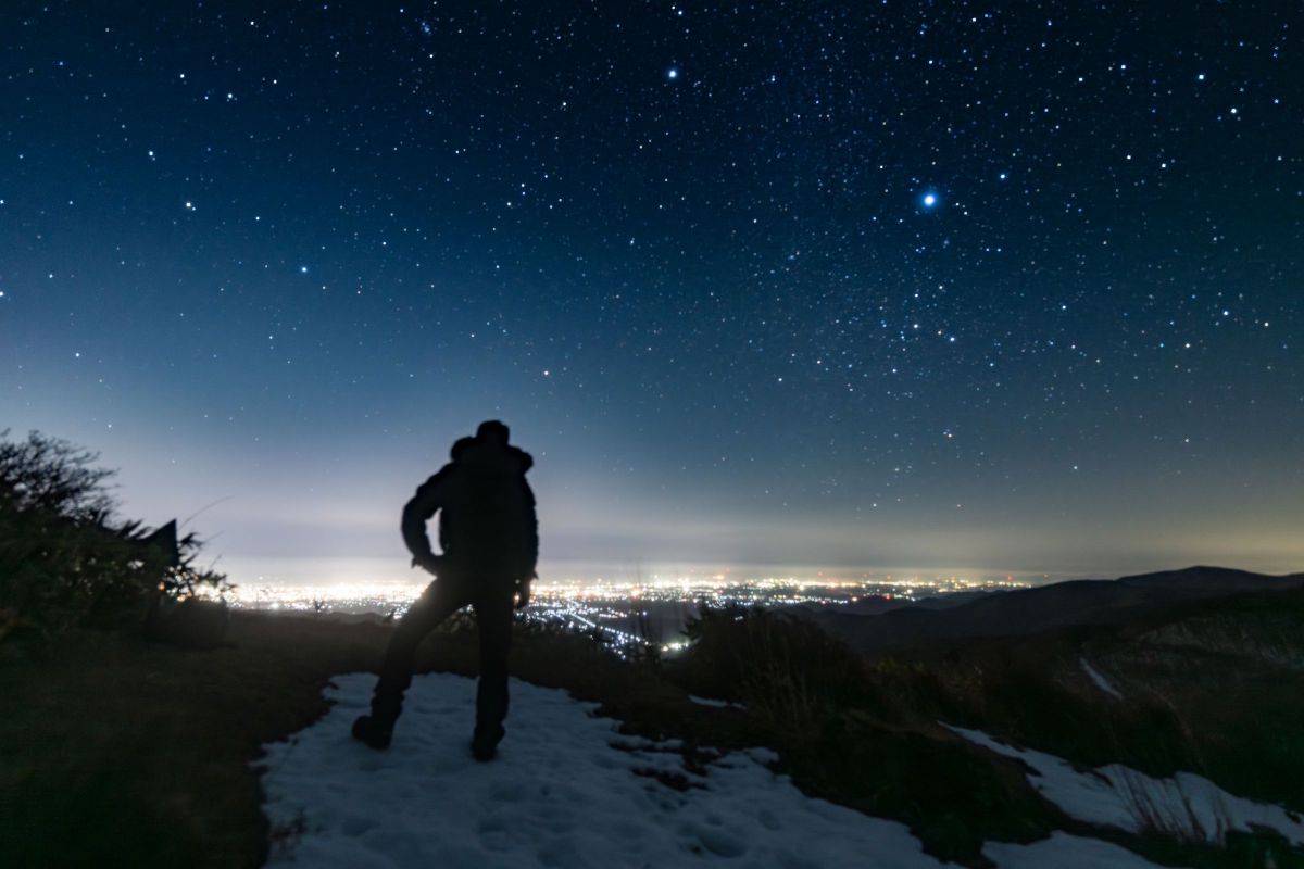 man looking at | GANREF