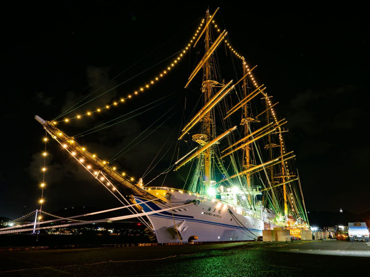 夜の貴婦人 | GANREF