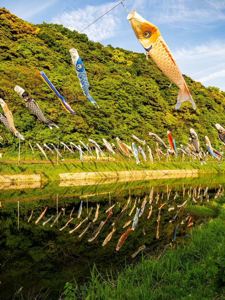 逆さこいのぼり | GANREF