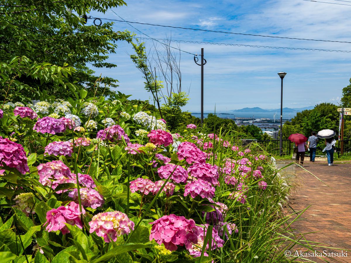 海が見える花道 | GANREF