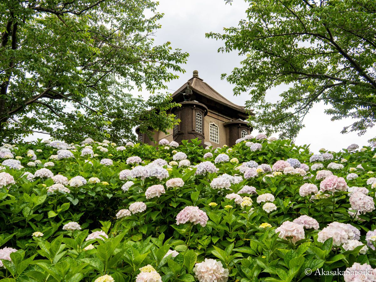 梅雨の地蔵堂 | GANREF