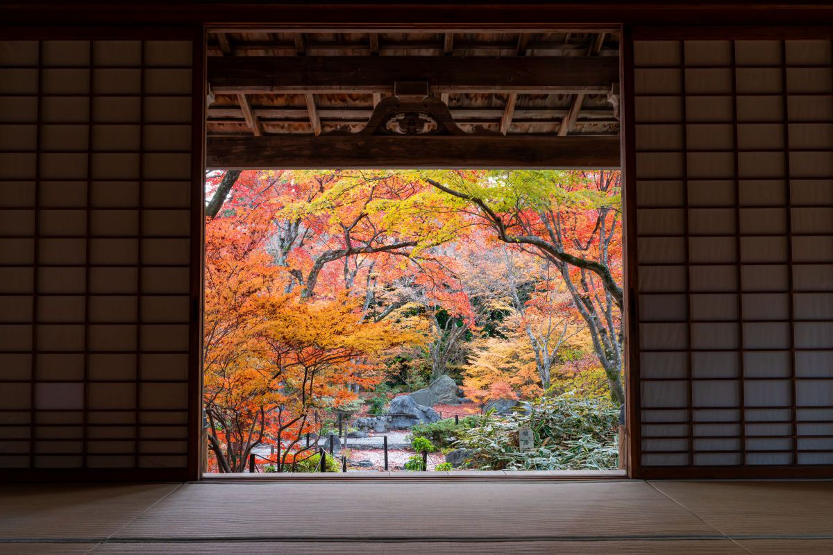 秋を覗く | GANREF