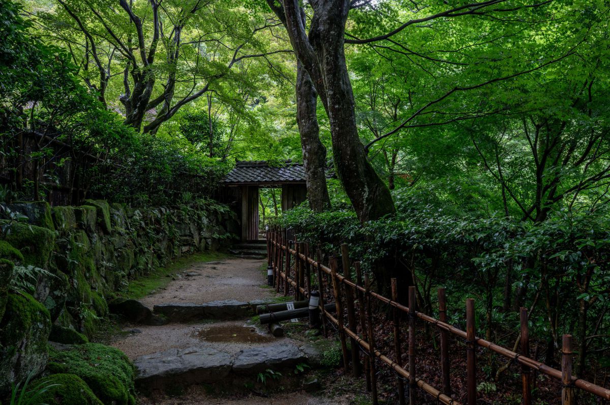 静かな雨上がり（その8） | GANREF