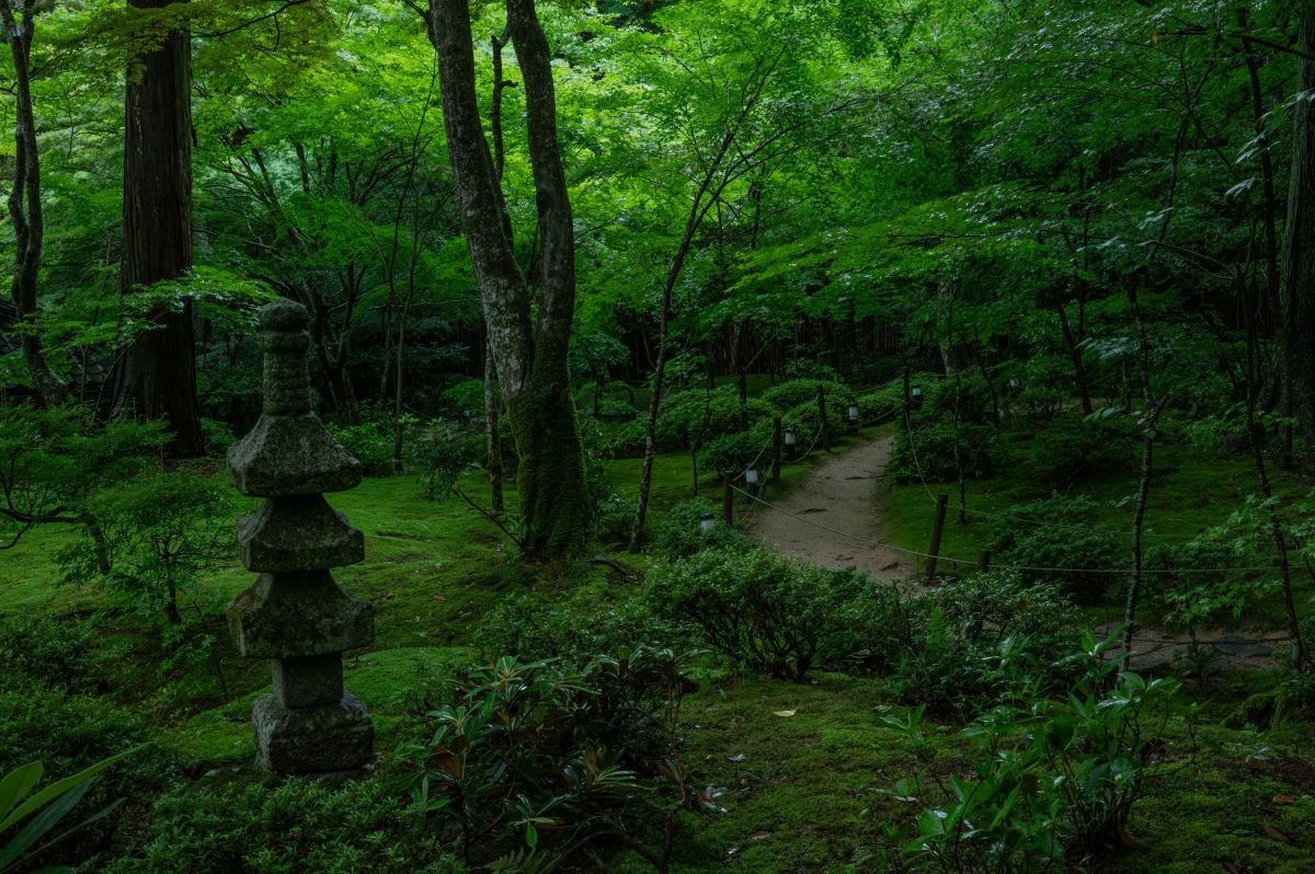 静かな雨上がり（その2） | GANREF