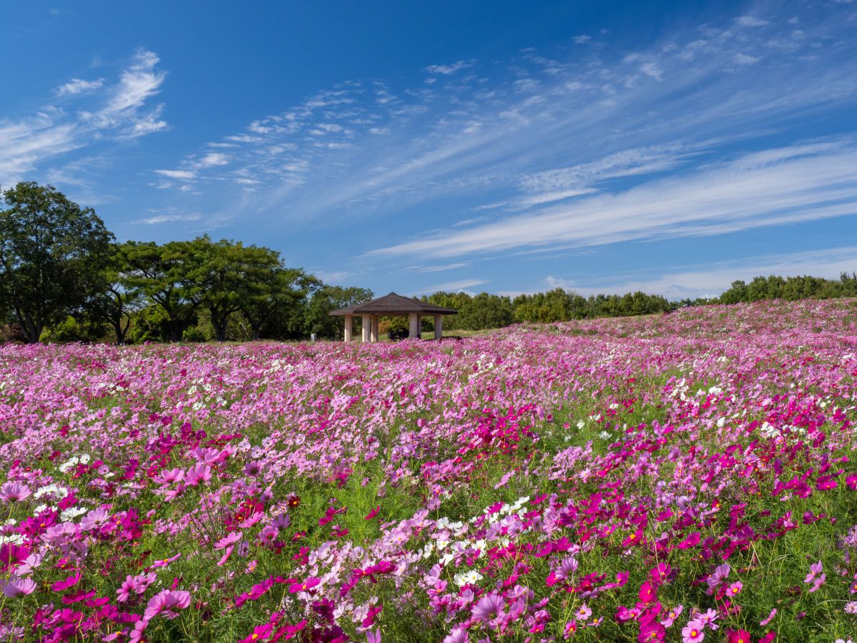 It's such a fine day, isn't it? | GANREF