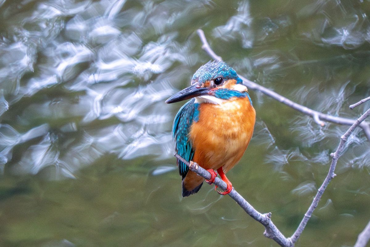 お久しぶり | GANREF