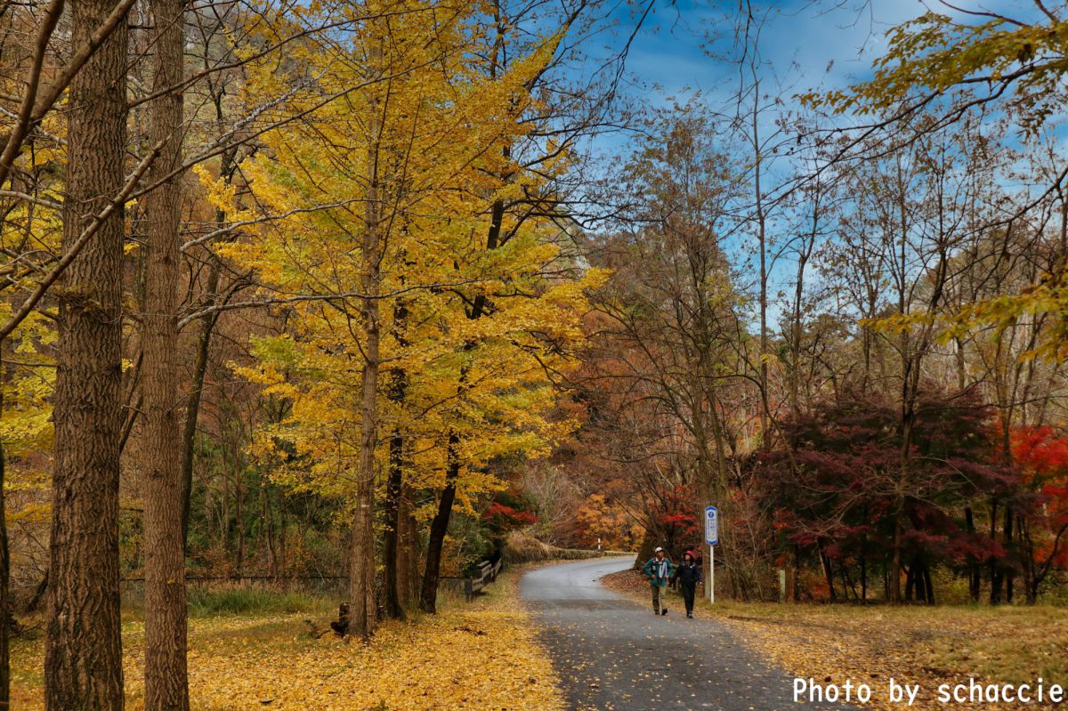 Autumn hiking | GANREF
