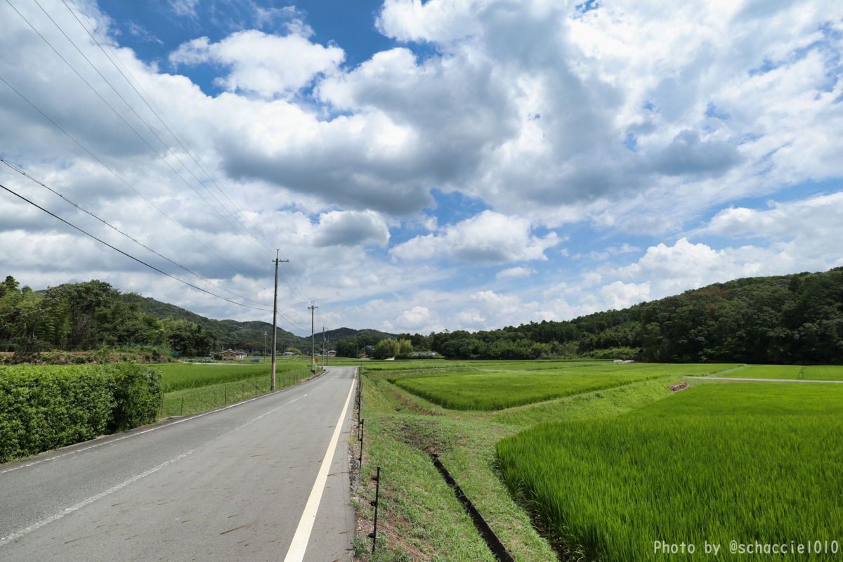 Summer holiday | GANREF