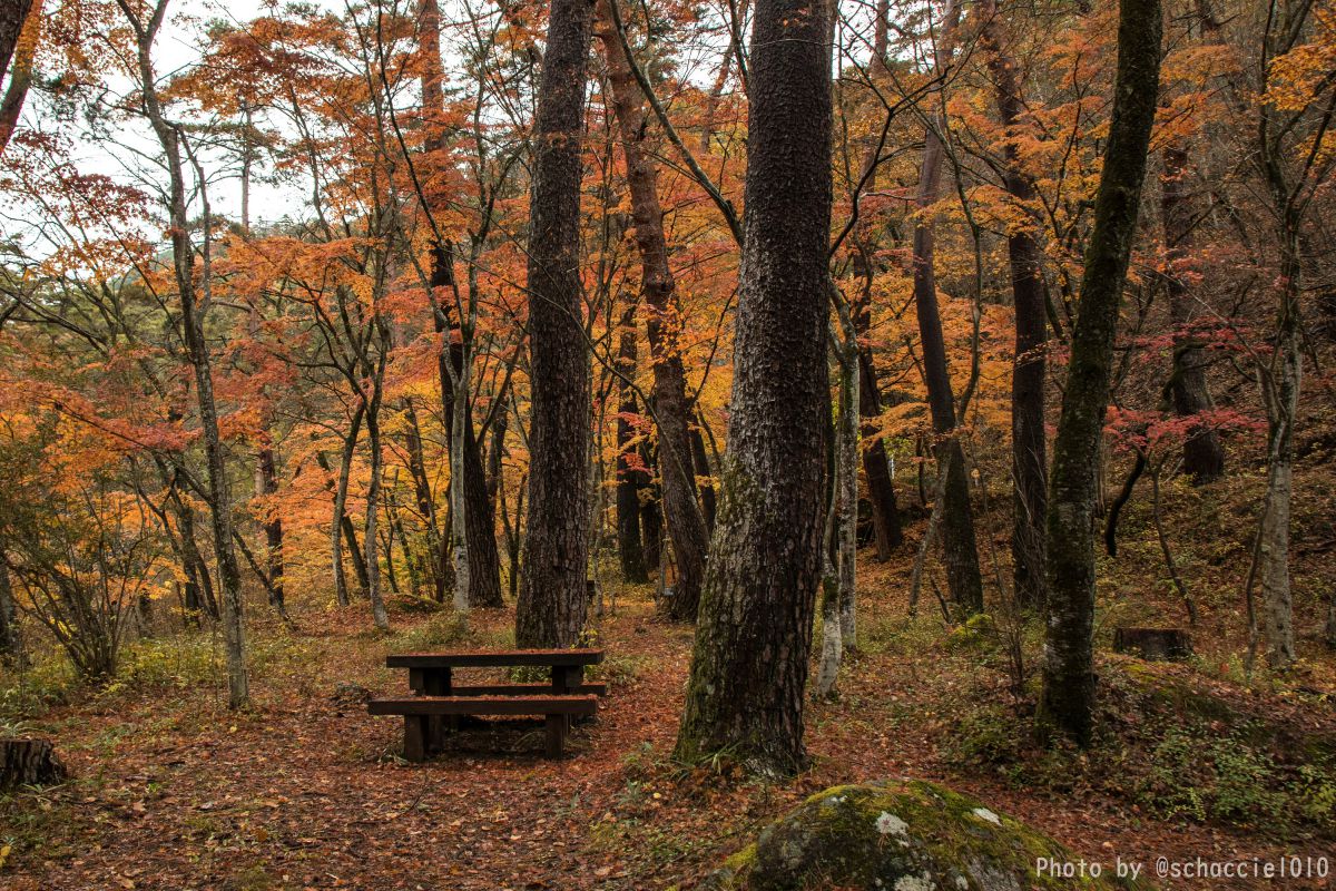 Have a rest | GANREF