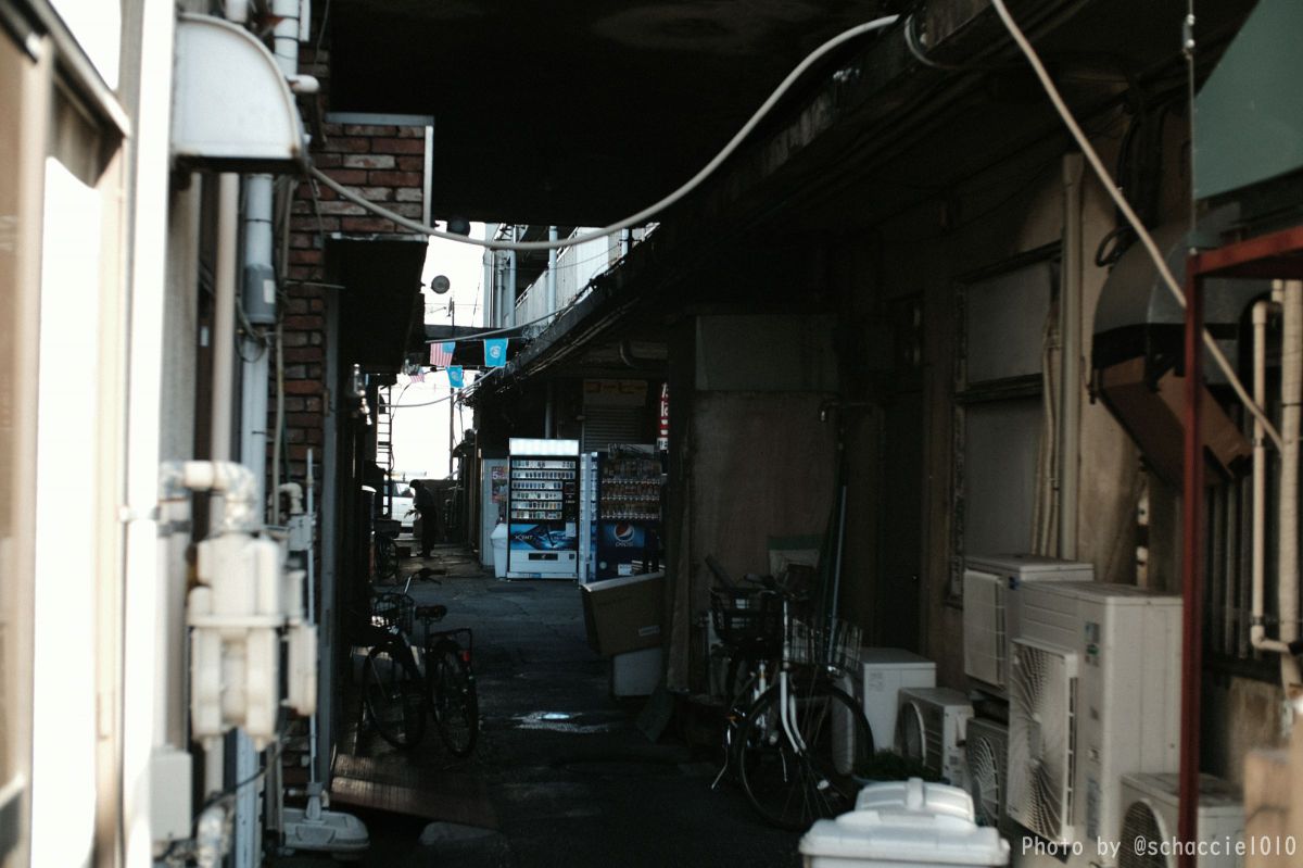 Working lady | GANREF