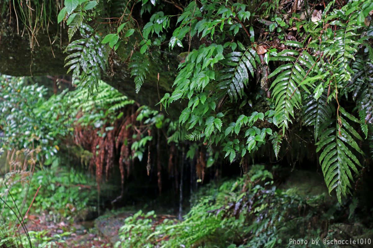 Water Cycle | GANREF