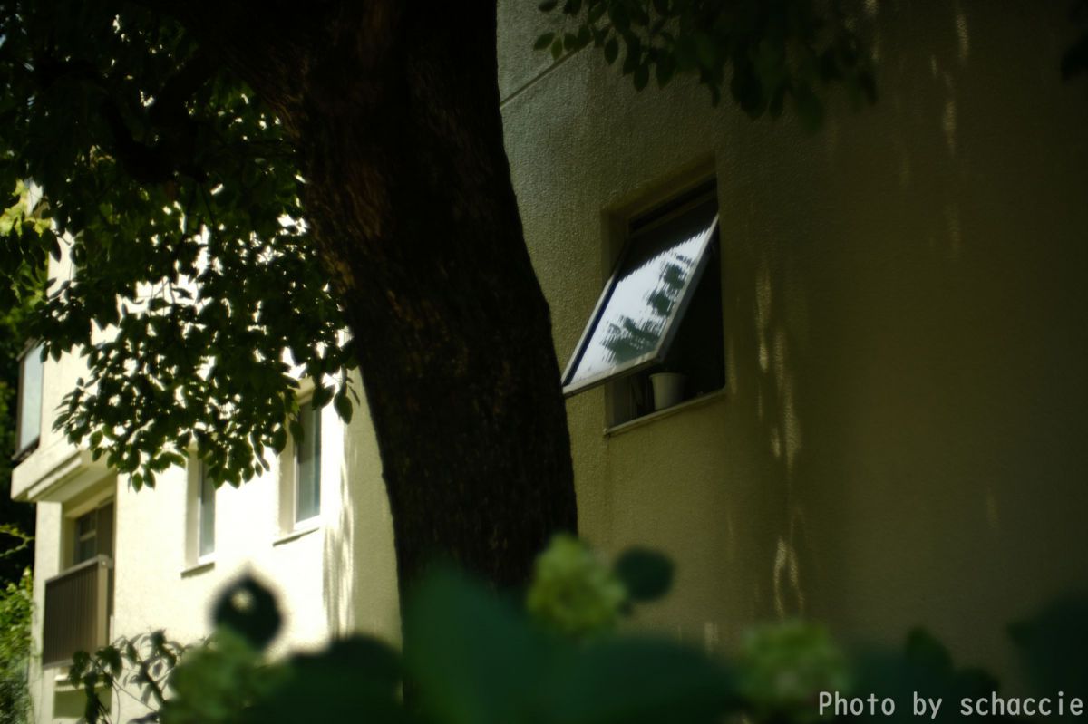 Morning routine | GANREF