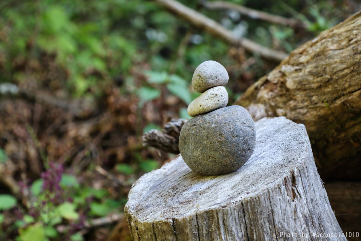 Balance game | GANREF