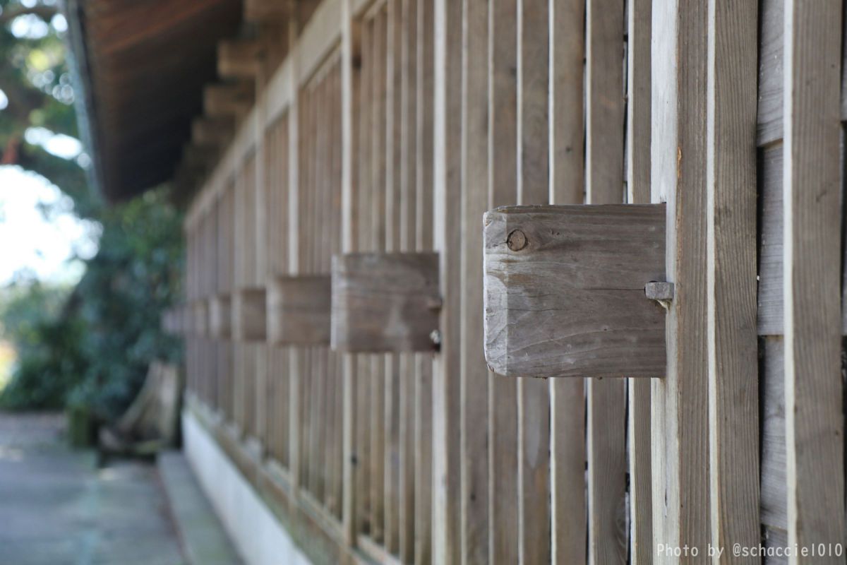 Magnifico-o-o-o-o | GANREF