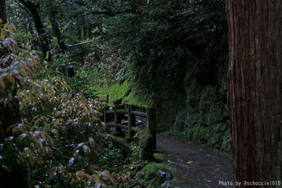 Invitation to be lost | GANREF