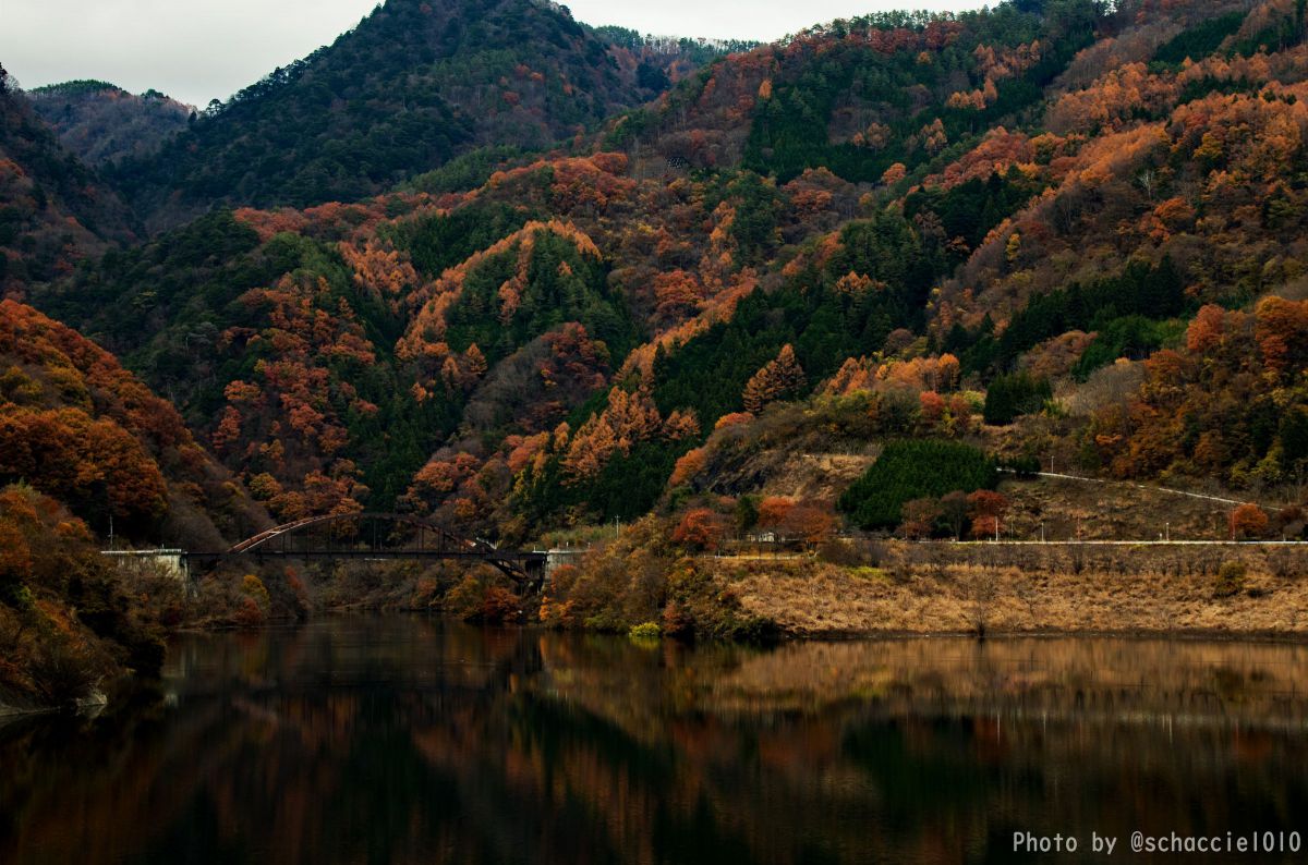 Deep autumn | GANREF