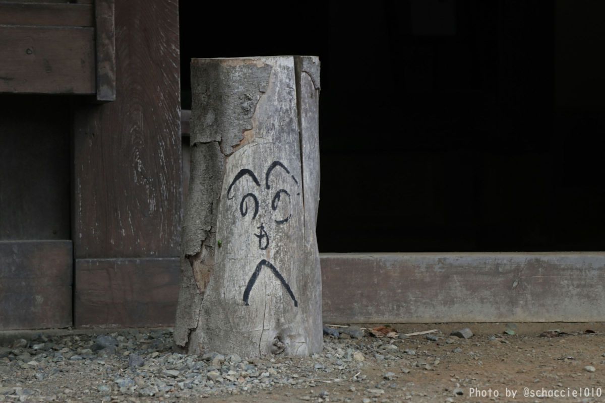 Eyes on me, please! | GANREF