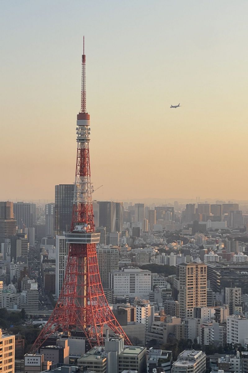 JA878A_NH852_B788_TSA-HND | GANREF